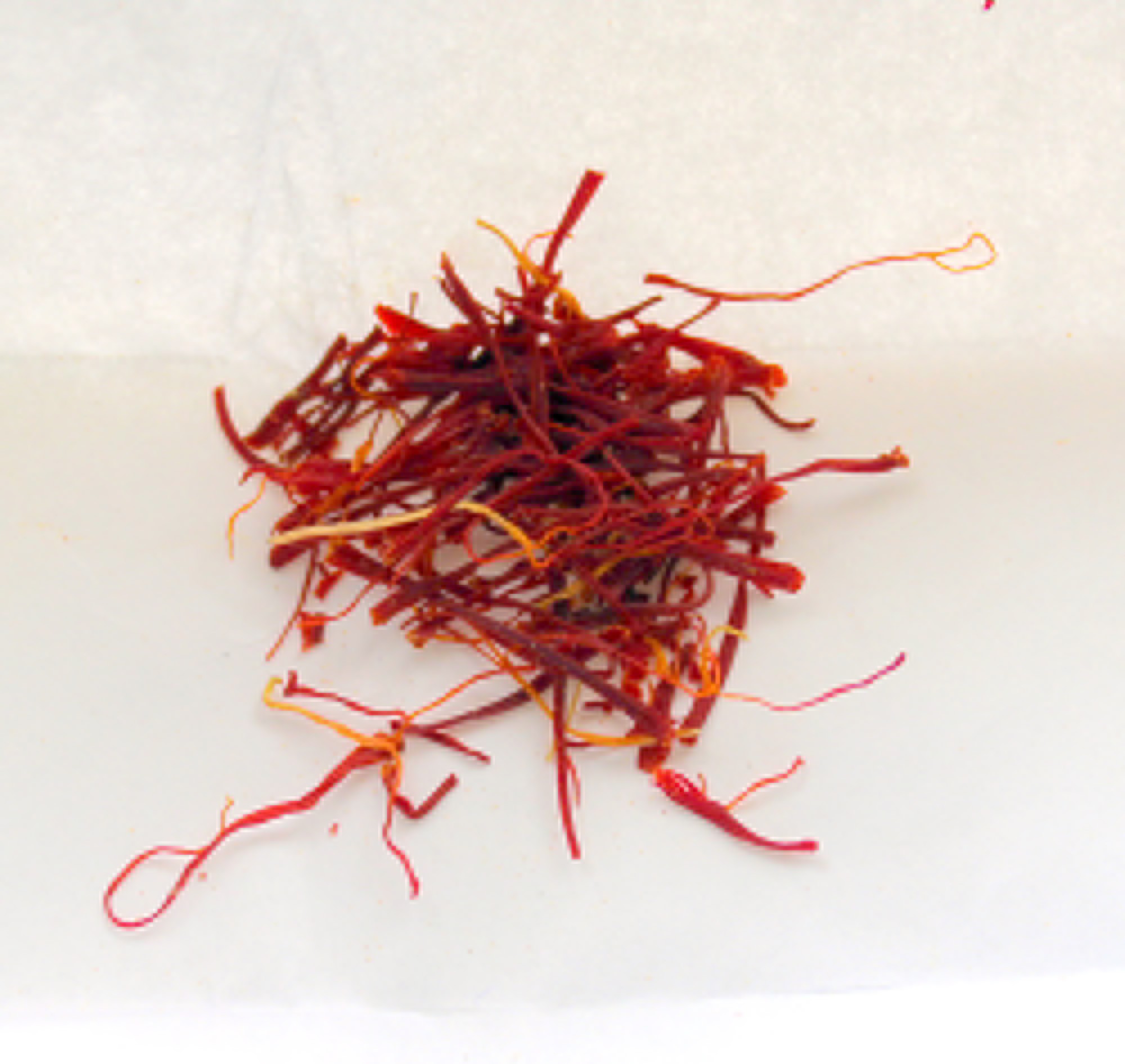 Recetas – Las recetas más guays de la red