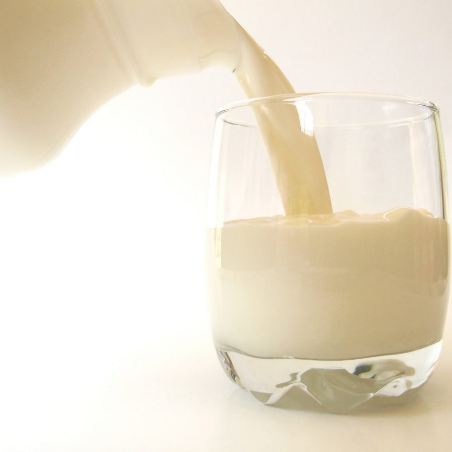 Leche Tierra de Sabor