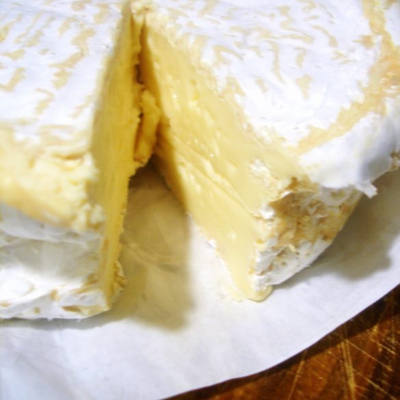 Queso Brie, el rey de los quesos
