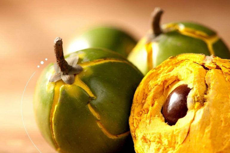 Fruta Archivos | El Aderezo | Blog de Cocina, Gastronomía y Recetas