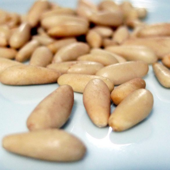 Jornadas del Piñón y la Piña Albar | El Aderezo | Blog de Cocina ...