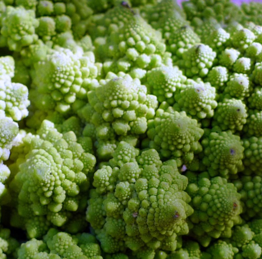 Romanescu, el primo "raro" de la familia de las coles