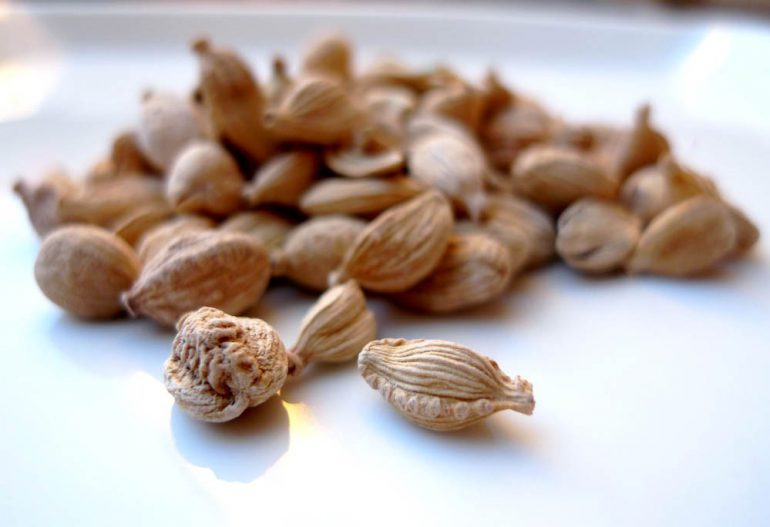 El Cardamomo, una de las tres especias más caras del mundo