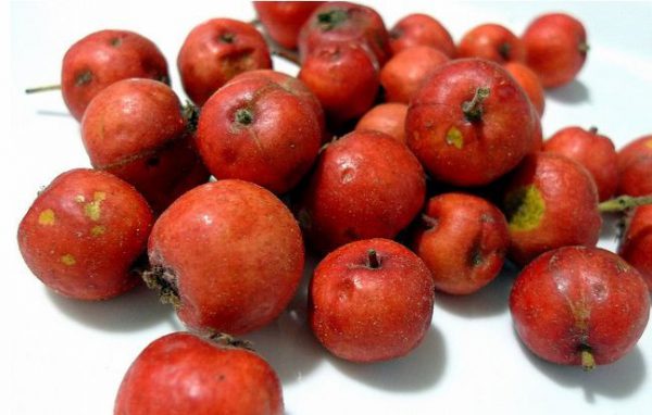 Propiedades de la acerola, una de las frutas más ricas en vitamina C