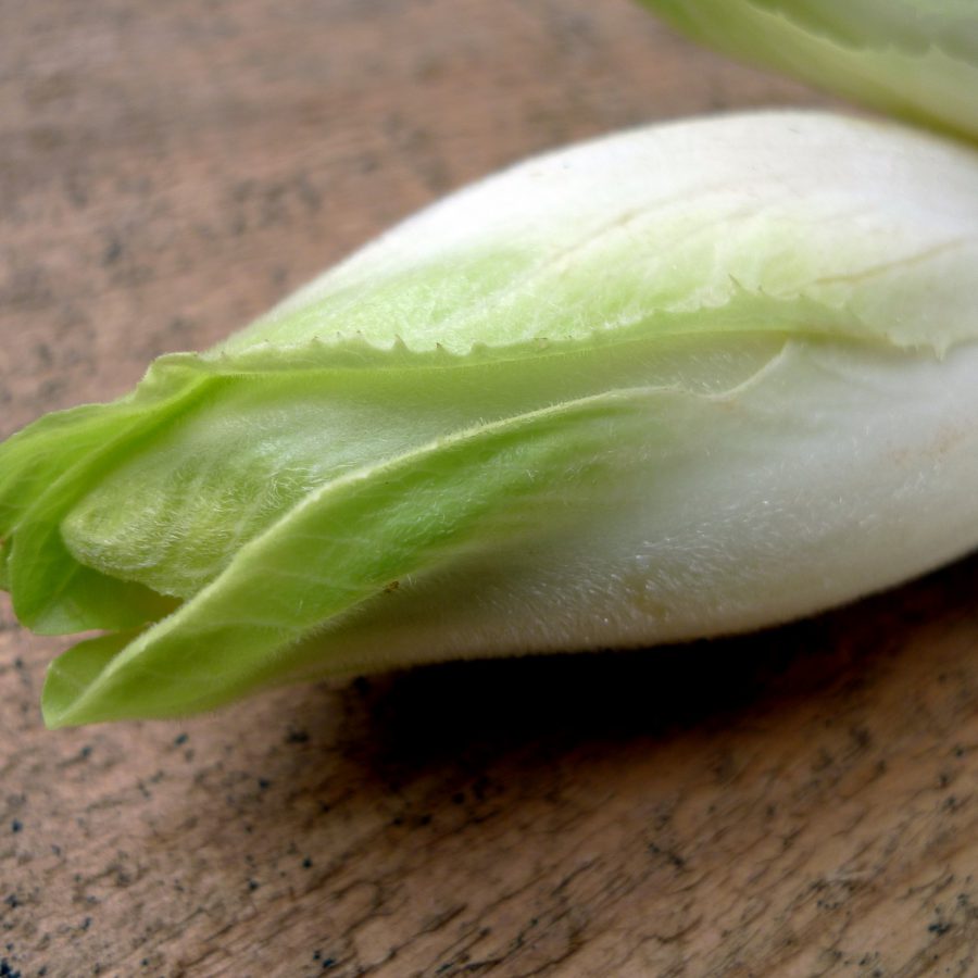 Endibia, propiedades y su uso en la cocina