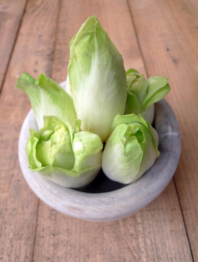 Endibia, propiedades y su uso en la cocina