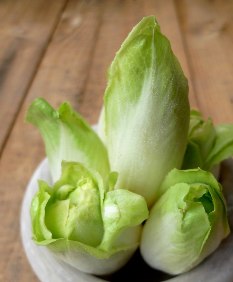 Endibia, propiedades y su uso en la cocina