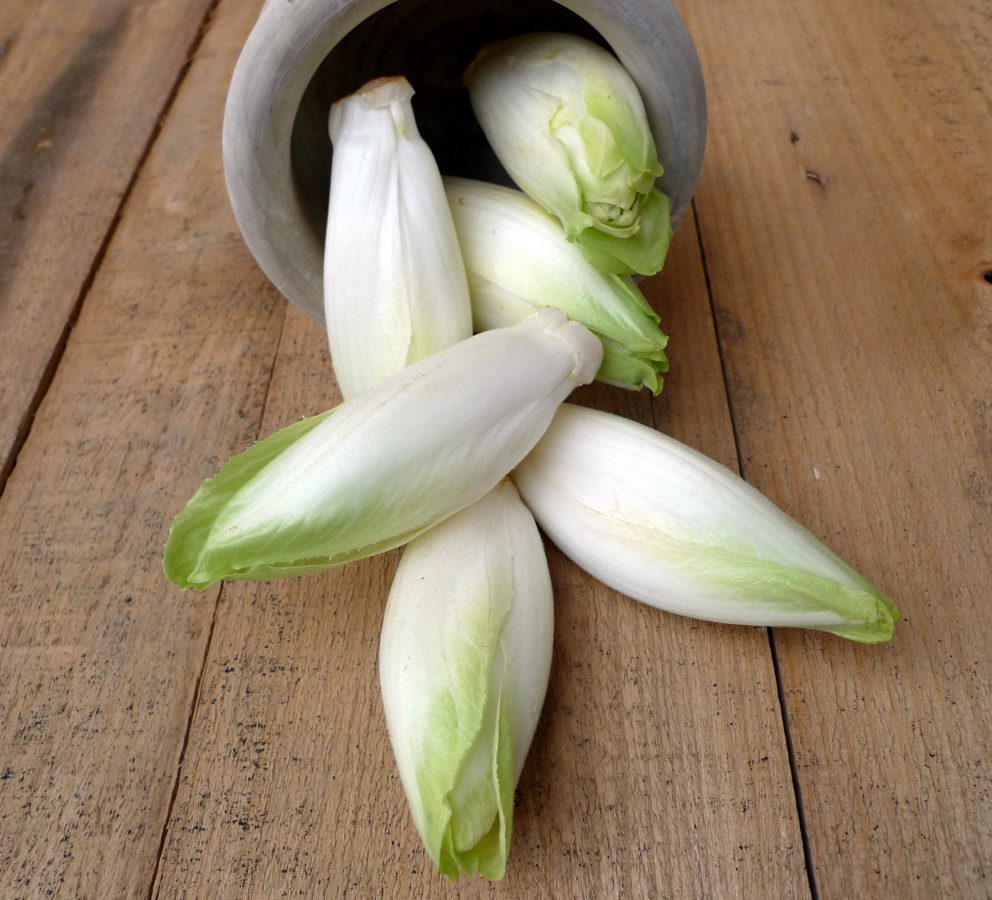 Endibia, propiedades y su uso en la cocina