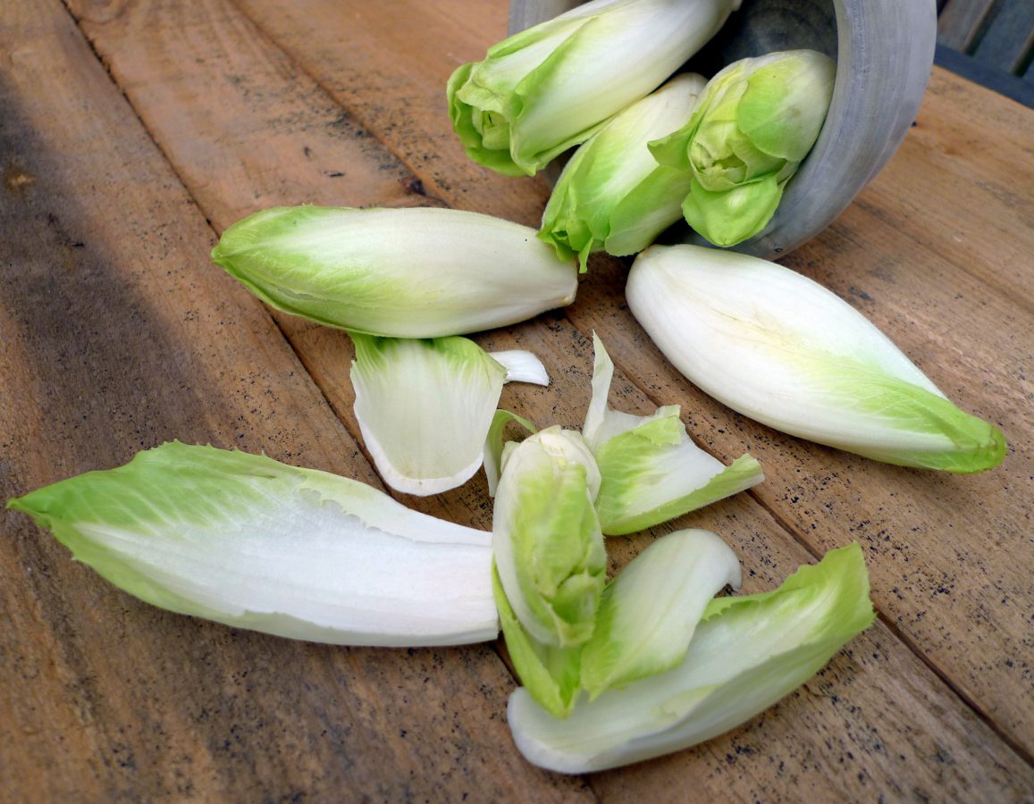 Endibia, propiedades y su uso en la cocina