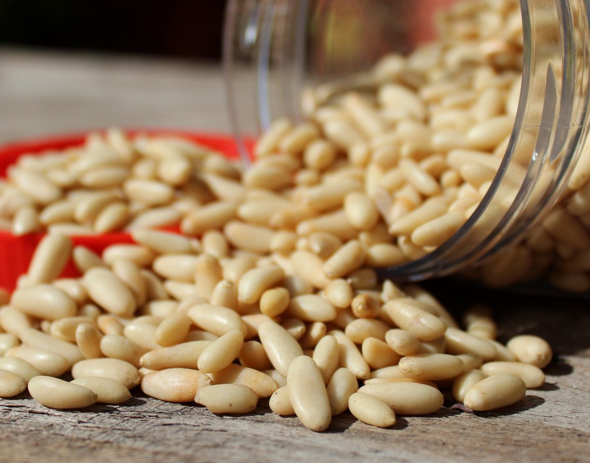 Centro de Investigación Nacional del Piñón en Pedrajas